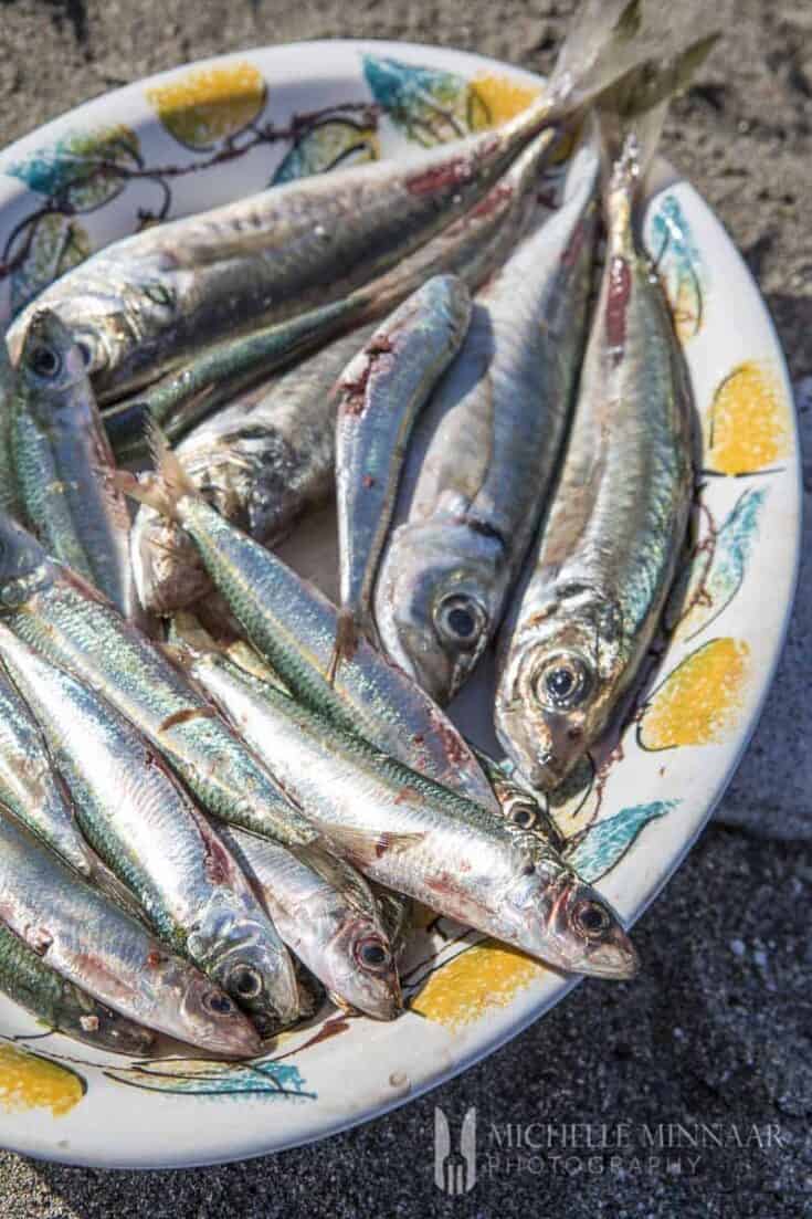 Fresh Sardines - Deliciously Grilled Fresh Sardines On A Sicilian Barbecue