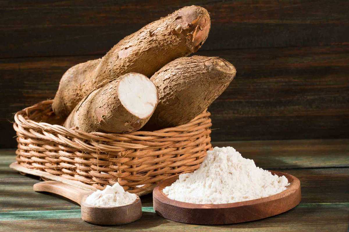 12 Cassava Flour Substitutes - Look At These 12 Cassava Flour Alternatives 12 Cassava Flour Substitutes - Look At These 12 Cassava Flour Alternatives