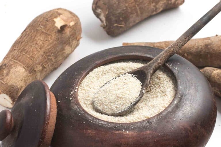 12 Cassava Flour Substitutes - Look At These 12 Cassava Flour Alternatives