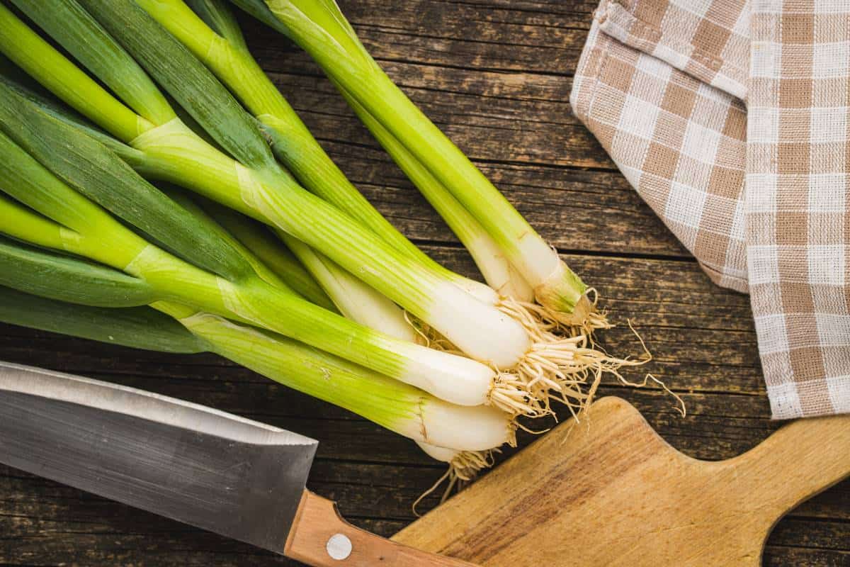 10 Best Green Onion Substitutes | Greedy Gourmet