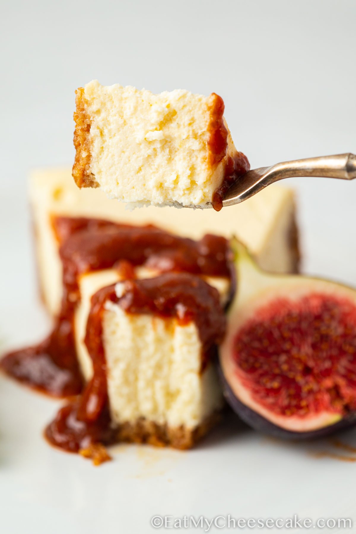 Parmesan Cheesecake | Greedy Gourmet