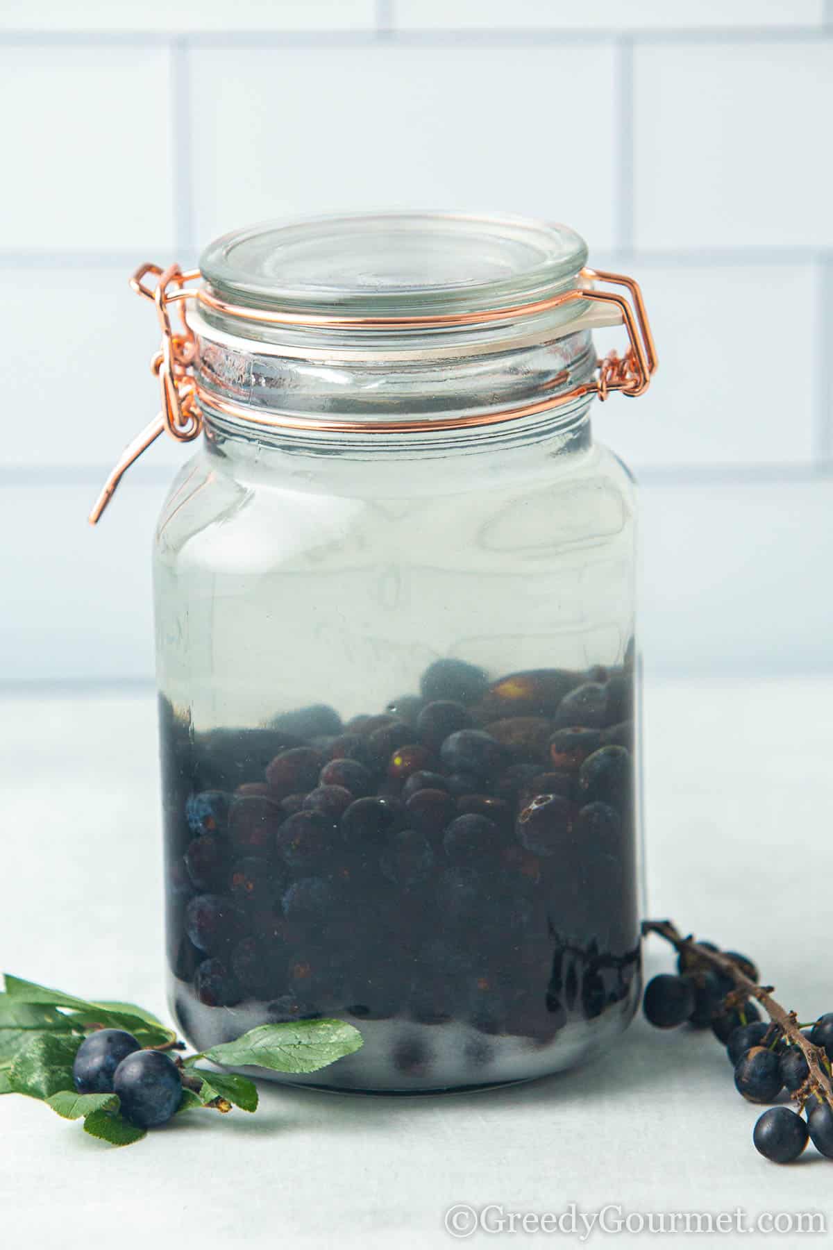 Sloe Vodka - Go Foraging & Make Your Own! | Greedy Gourmet
