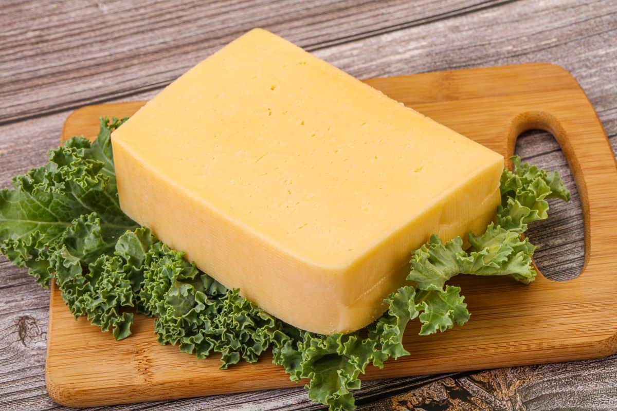 The Top 9 Muenster Cheese Substitutes | Greedy Gourmet