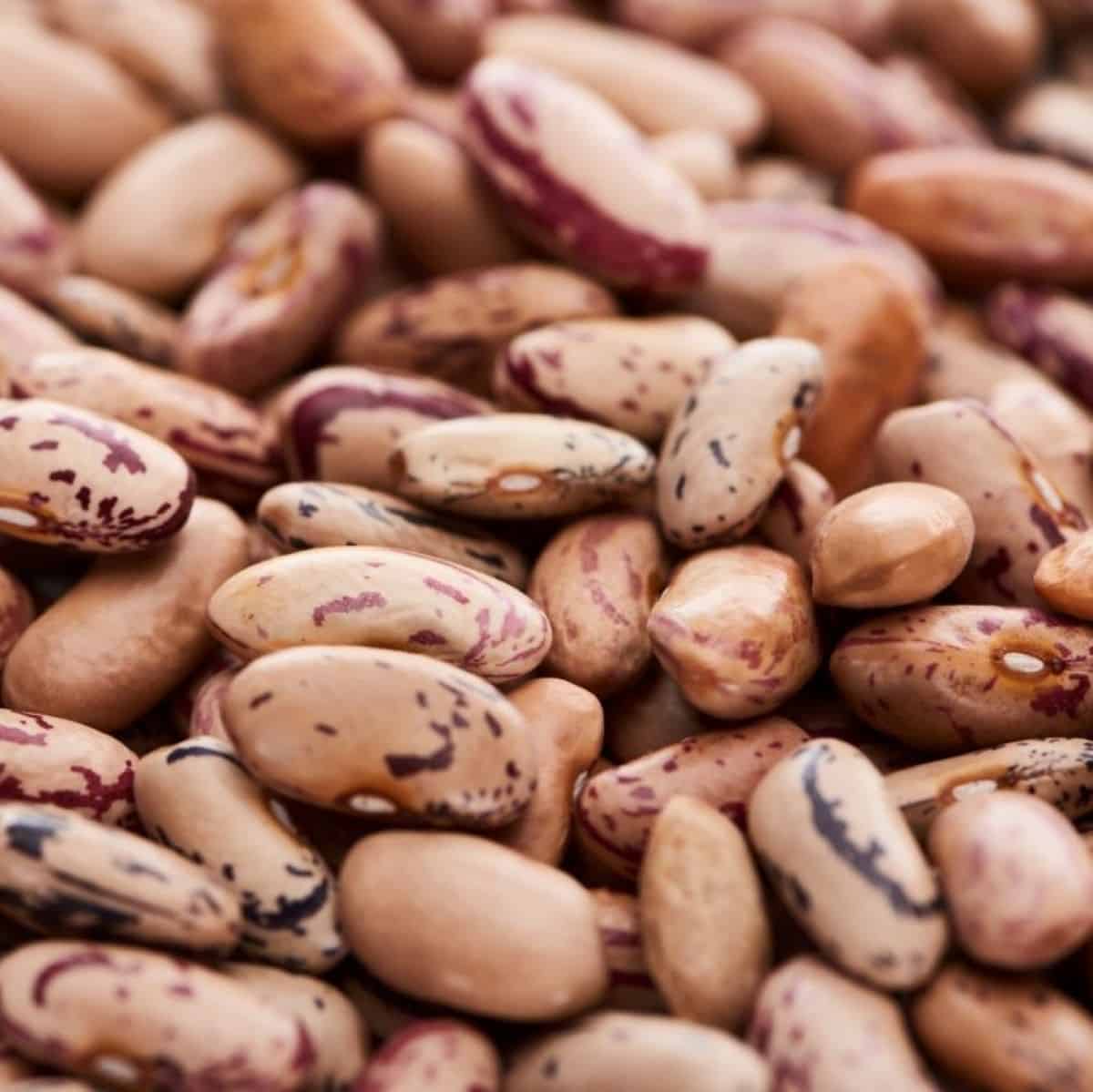 The Best 9 Pinto Bean Substitutes | Greedy Gourmet