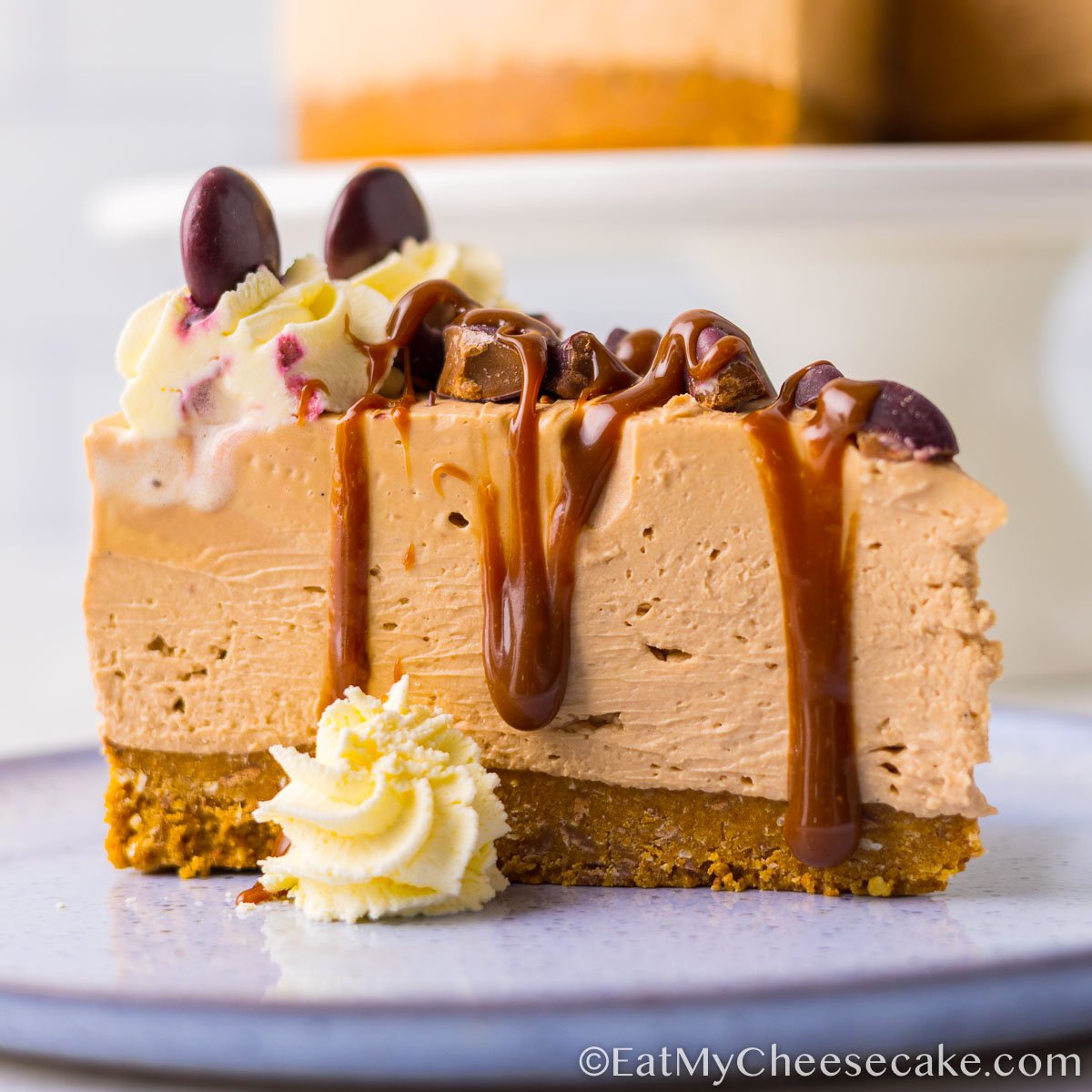 Galaxy caramel cheesecake store